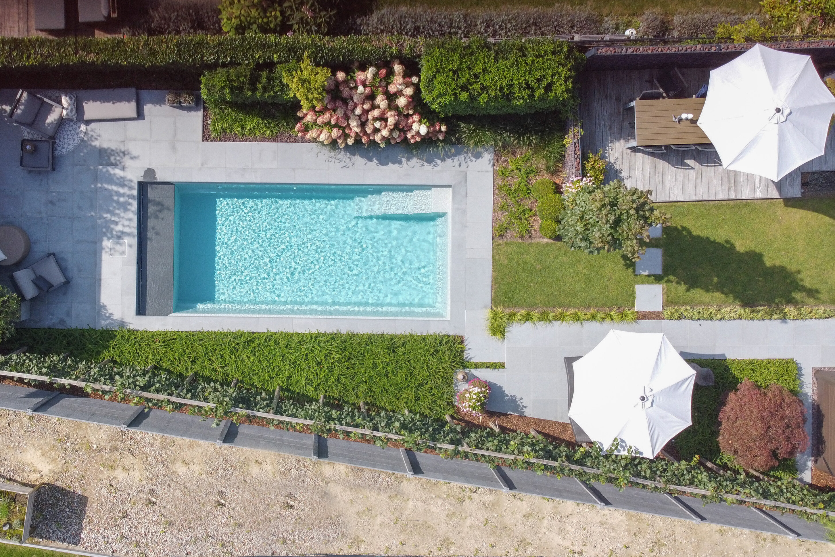 Aqua 77 piscine | Compass Pools
